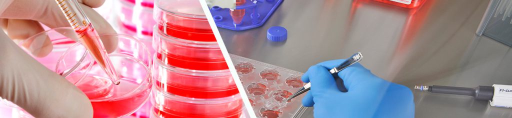 Bioprocessing: The Key to Efficient Cell Line Development - CuriRx